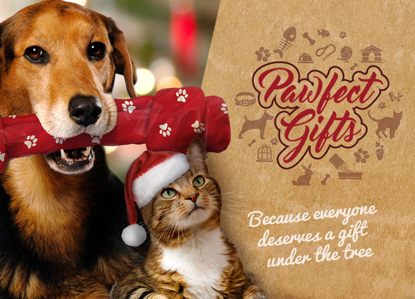 Pawfect Gifts for Christmas - adHOME Creative